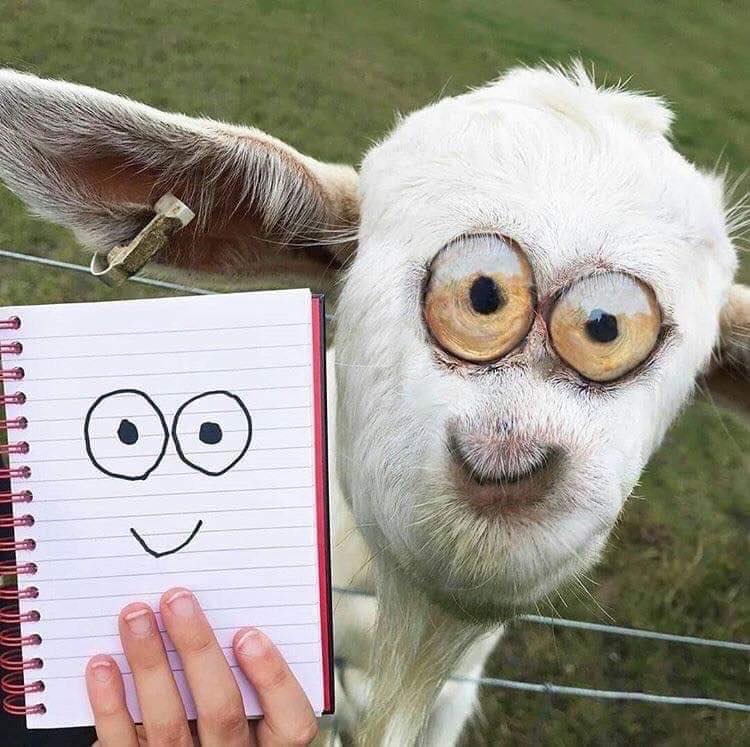 If your kids drawings were real // March 25th, 2020