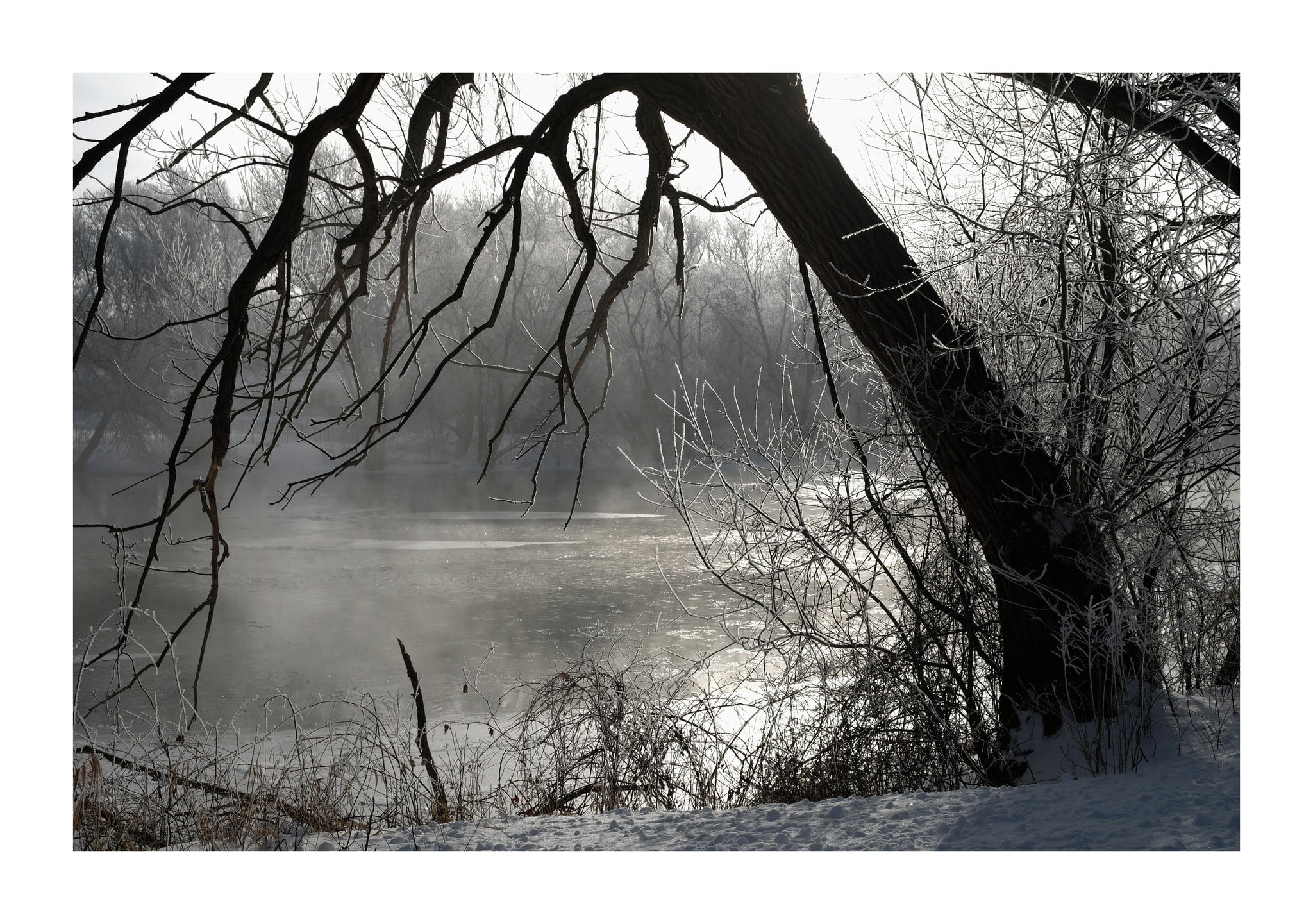 Cold morning walk by Rick Olsen // February 13th, 2021