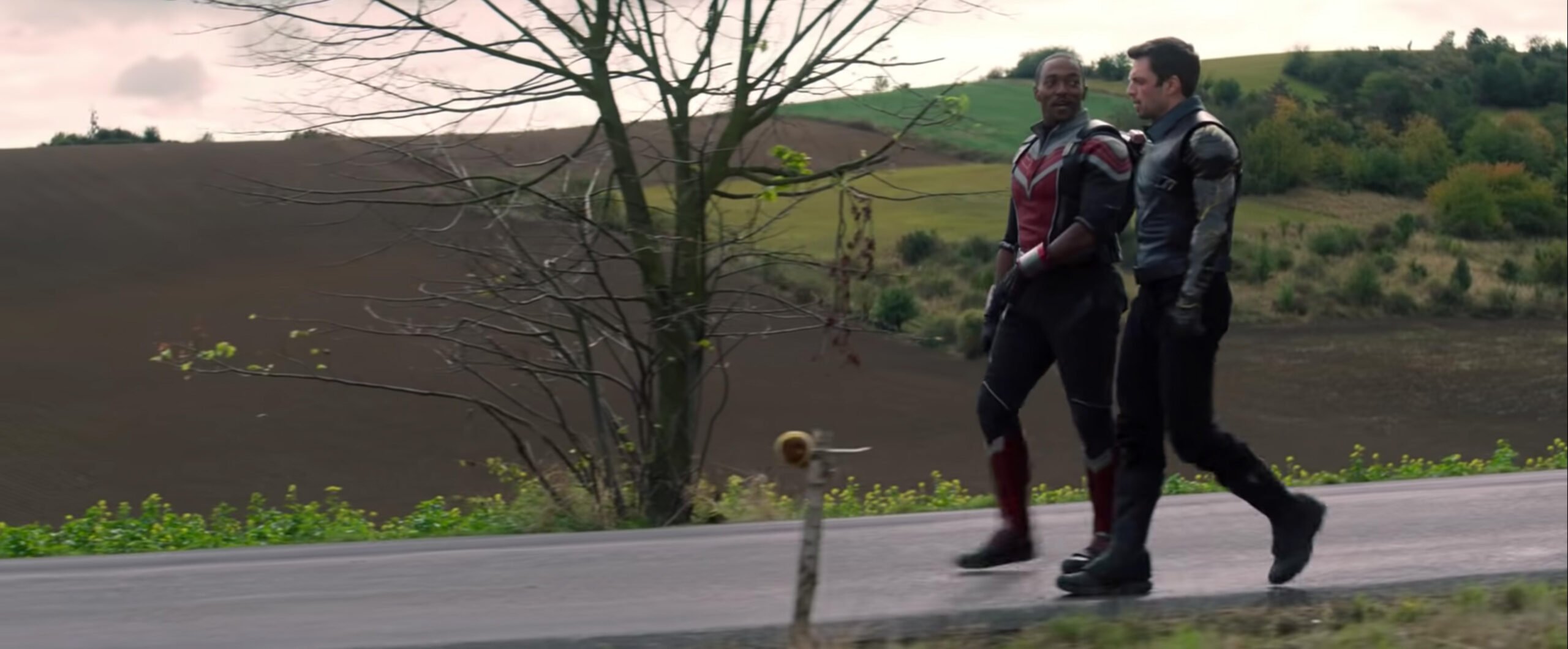 The Falcon and The Winter Soldier // February 12th, 2021