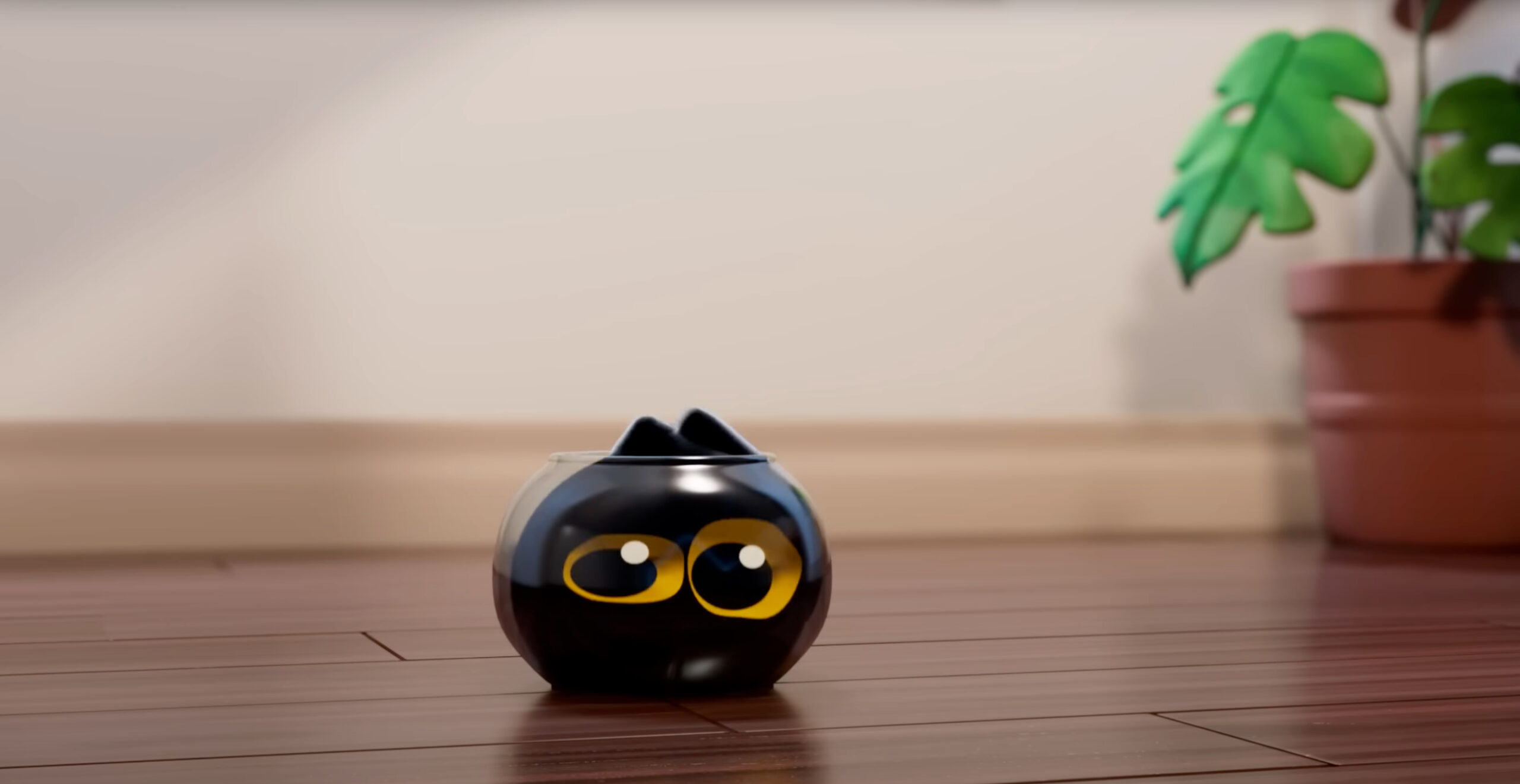 My Cat Lucy | Official Film - tiredbees by James Balderson